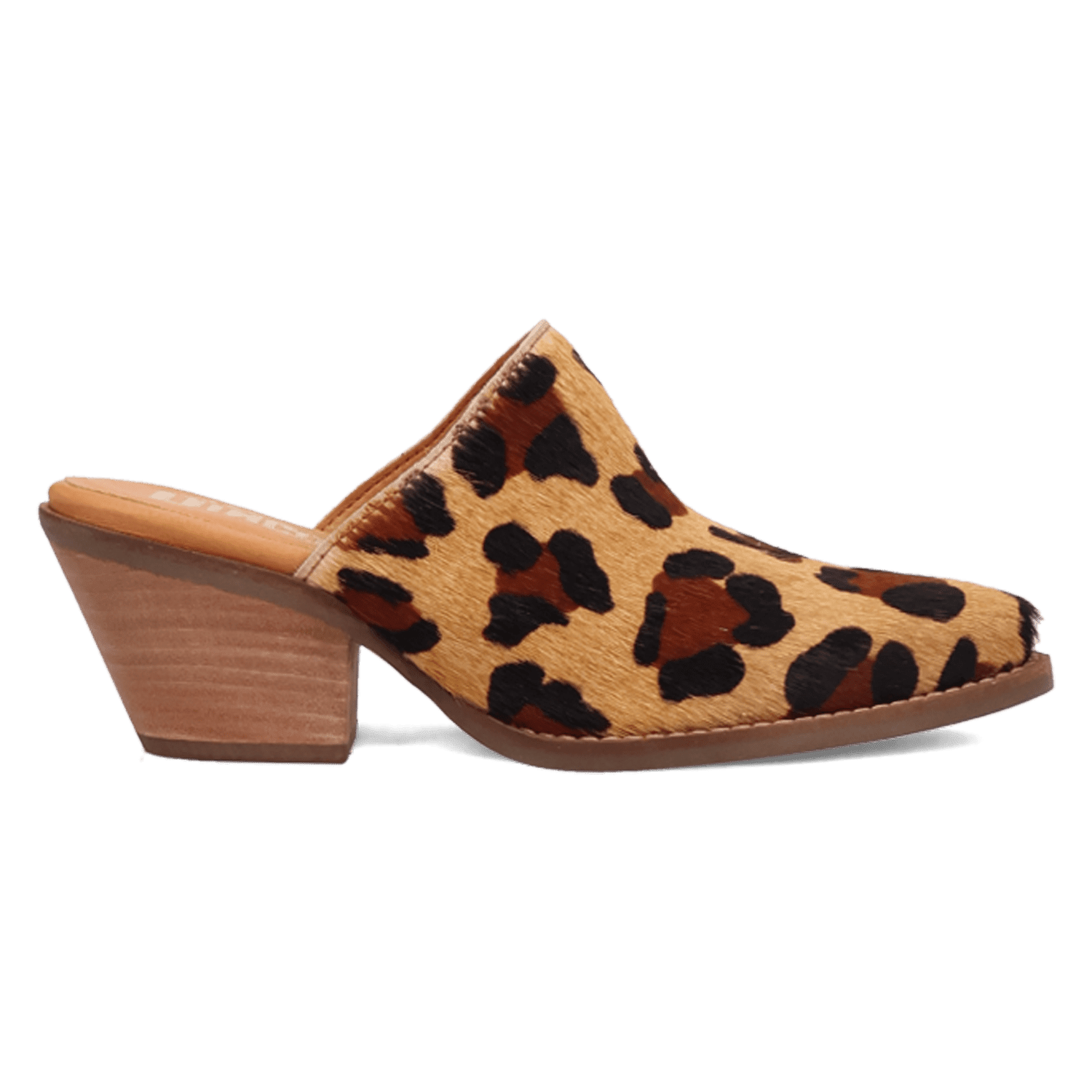 CALICO MULE – Dingo1969