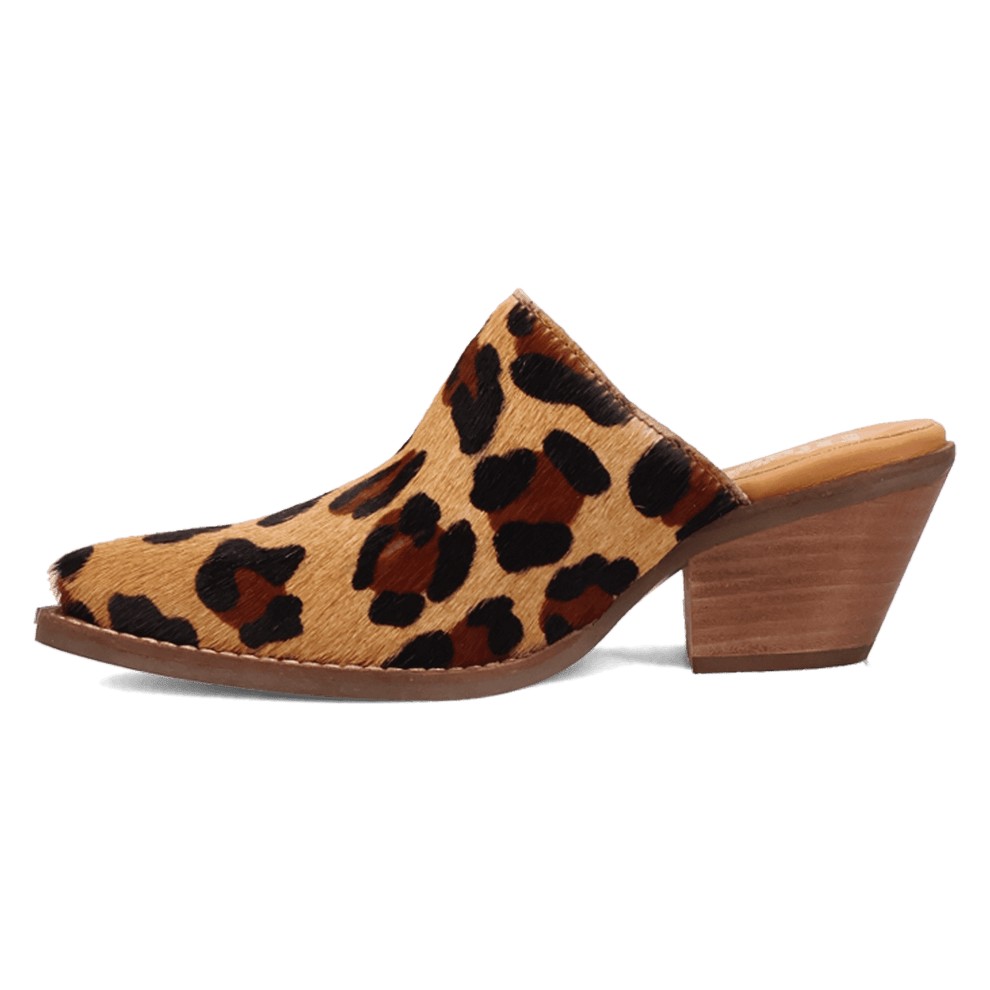 CALICO MULE – Dingo1969