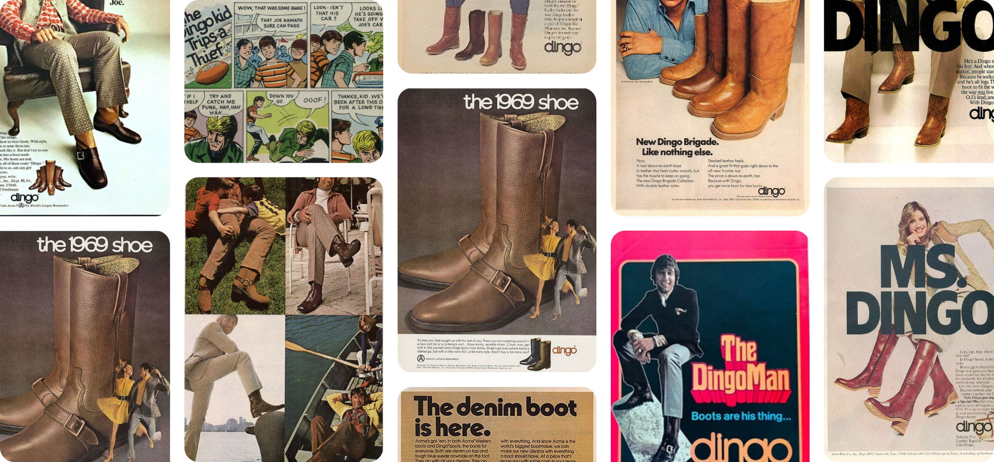 About – Dingo1969